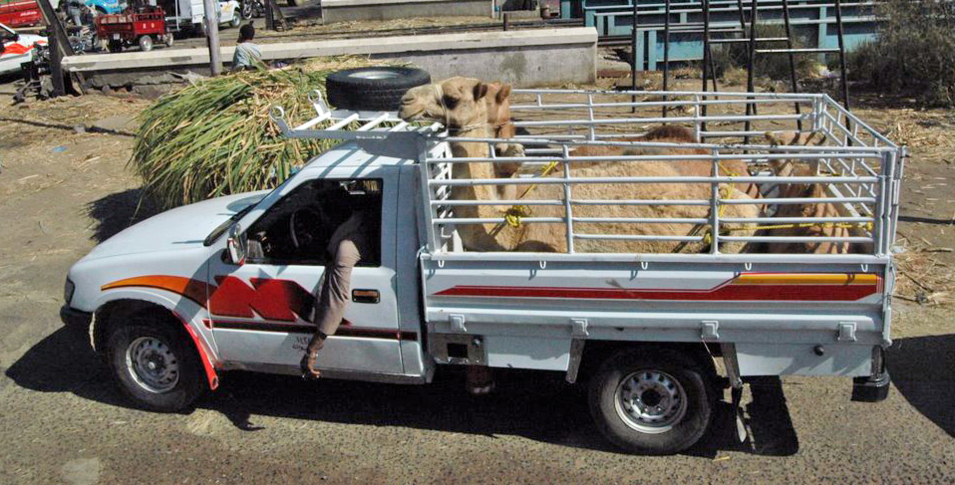 TopWorldAuto >> Photos de Isuzu TFR - galeries de photos